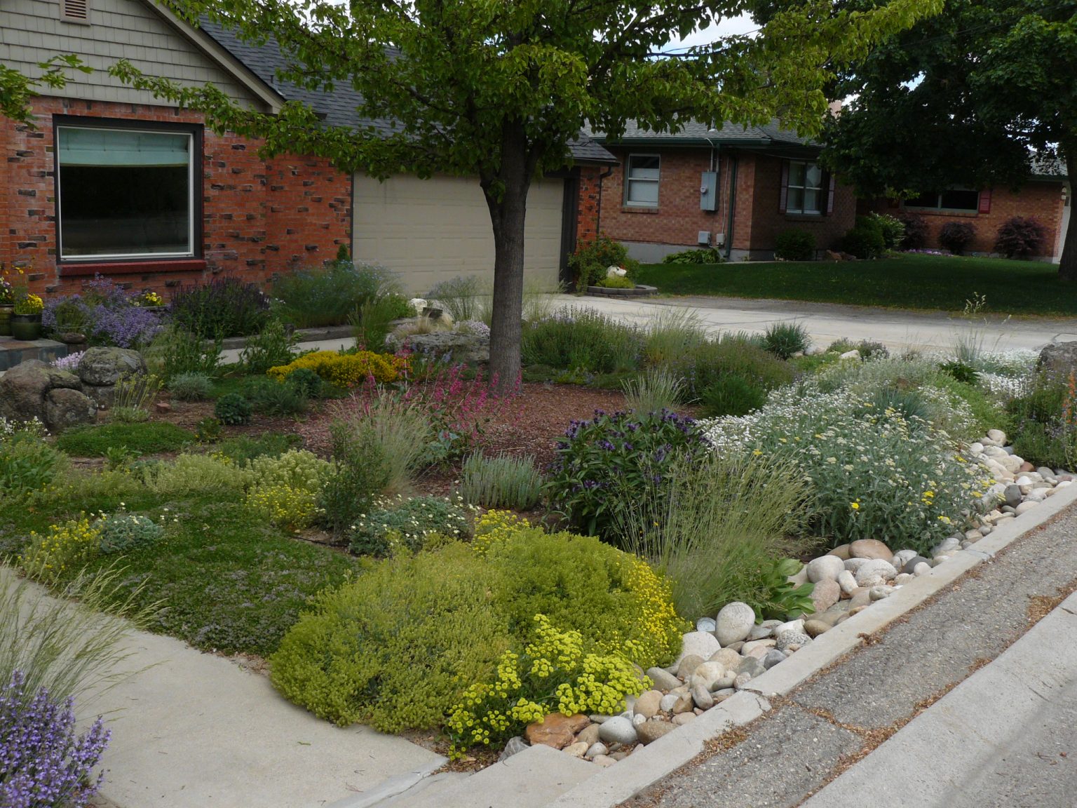 Landscape examples | Draggin Wing Farm