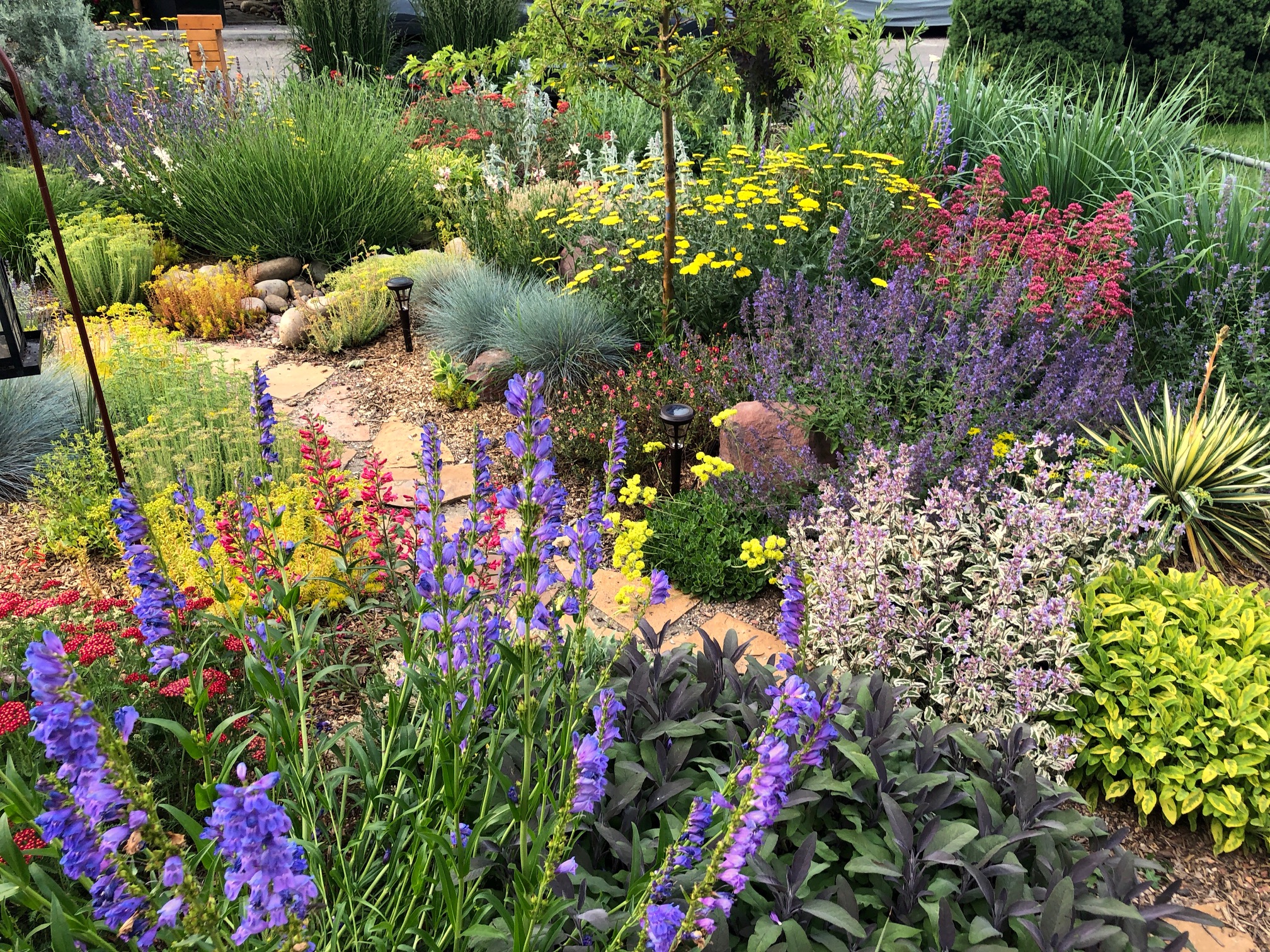 Landscape examples | Draggin Wing Farm